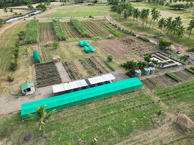 Sheraton Farm | Fiji